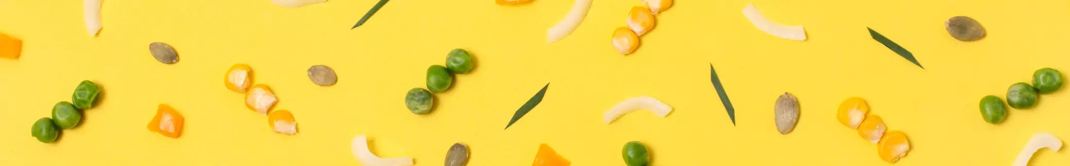 Way Beyond Bagels | Quality Way Beyond Bagels – Authentic New York ...